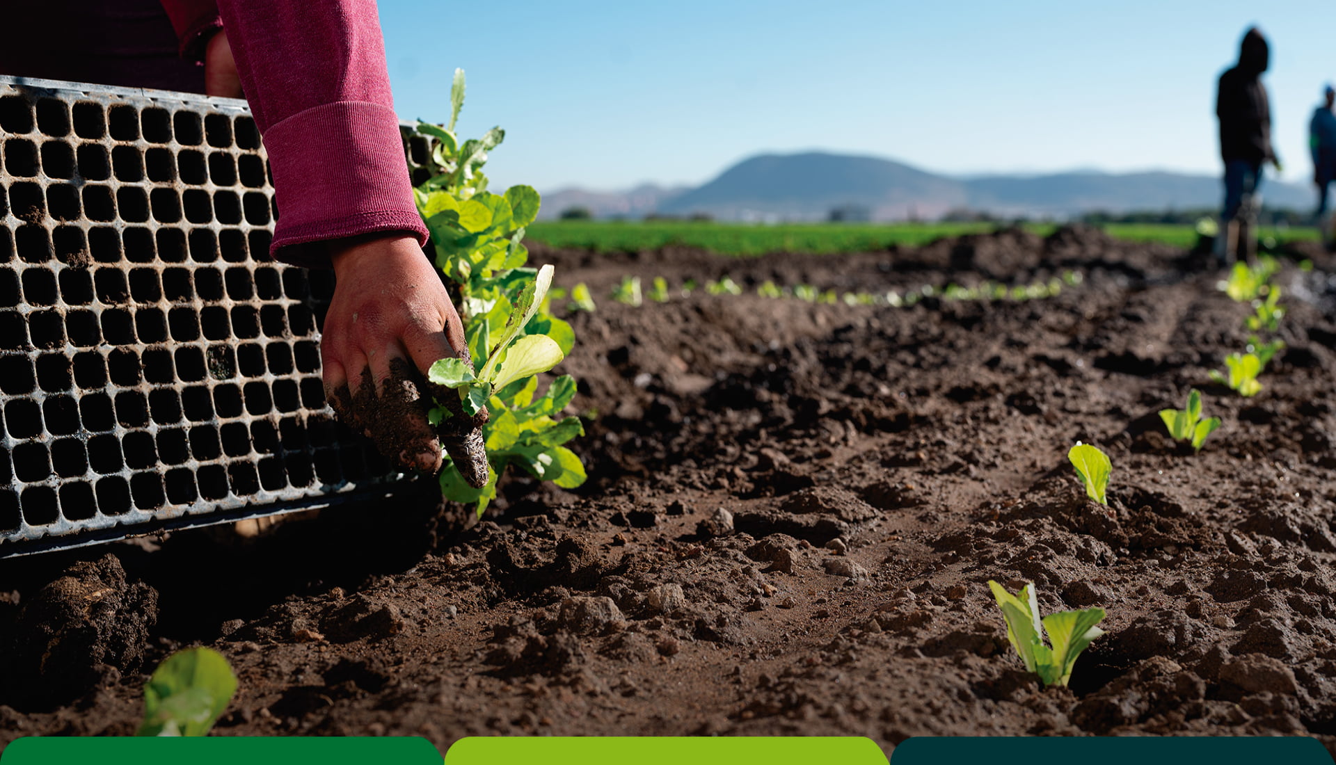 Leonali - Cultivamos experiencia, Cosechamos bienestar.